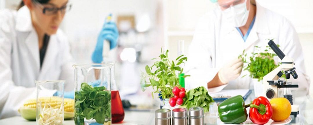 Know The Complete Process of the Food Quality Inspection and Its ...