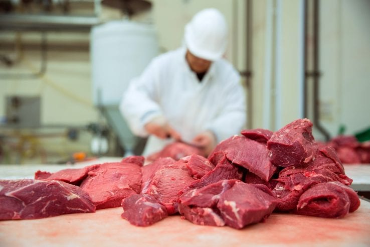 Know The Complete Process of the Food Quality Inspection and Its ...