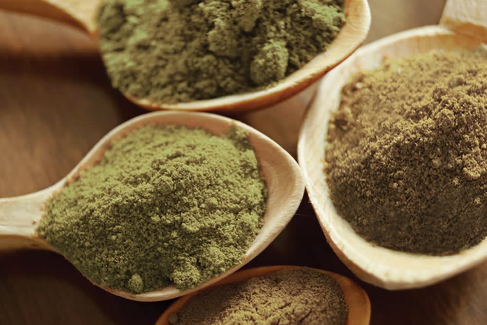 Mushroom Powder: Unlocking The Power Of Fungi - Cooking in Stilettos